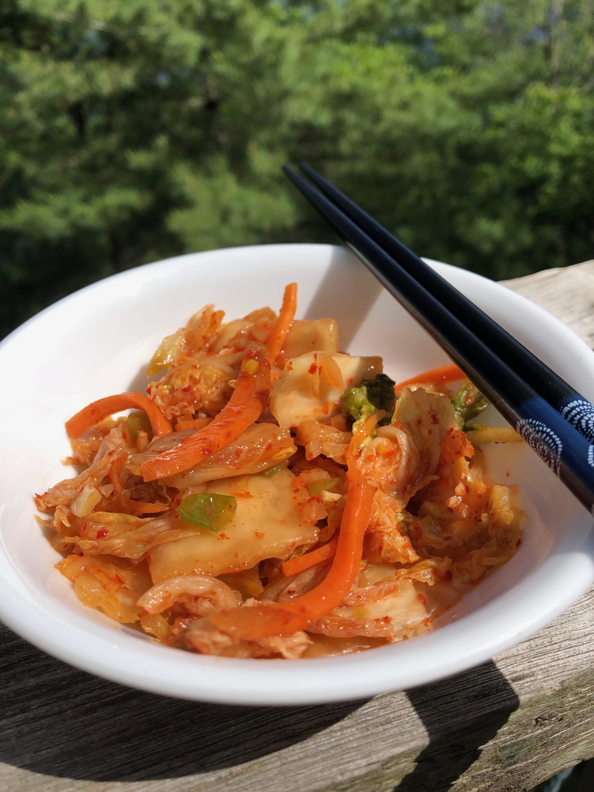 The Intrepid Eater - Recipes - How to Make Kimchi